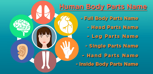 Human Body Parts Name for PC - How to Install on Windows PC, Mac