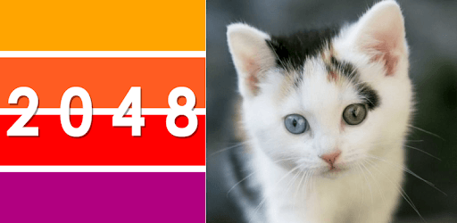 Cute Cat 2048 for PC - How to Install on Windows PC, Mac