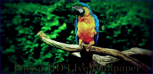 Parrot HD Wallpaper Live for PC - How to Install on Windows PC, Mac