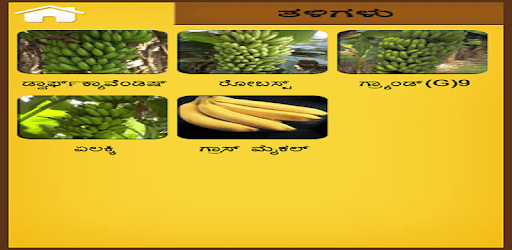Banana kannada for PC - How to Install on Windows PC, Mac