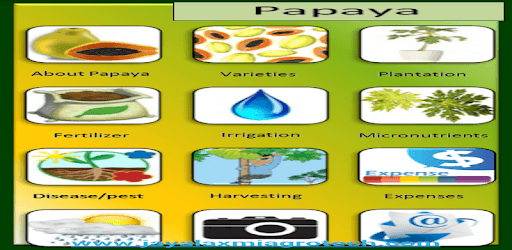 Papaya English for PC - How to Install on Windows PC, Mac