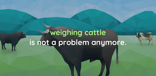 agroninja beefie™ - stressless cattle weighing for PC - How to Install ...