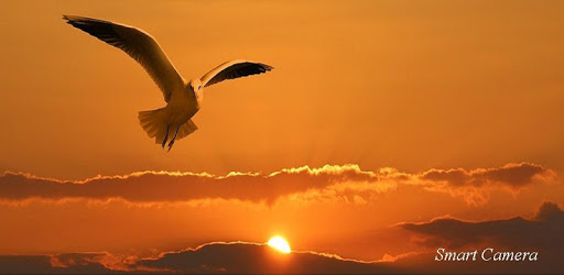 Smart Camera for PC - How to Install on Windows PC, Mac