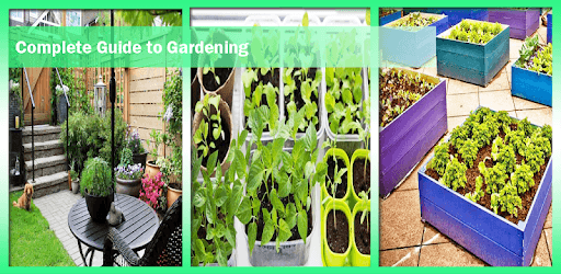 Complete Guide to Gardening for PC - How to Install on Windows PC, Mac