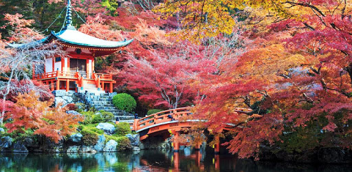 Zen Garden Live Wallpaper for PC - How to Install on Windows PC, Mac