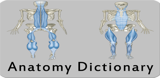 Anatomy Dictionary APK Download For Free