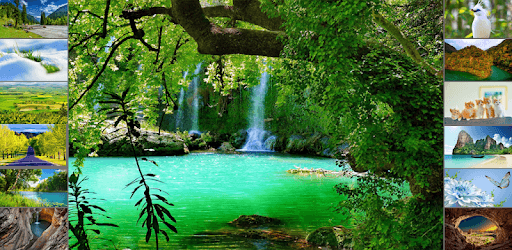 10000 Nature Wallpapers for PC - How to Install on Windows PC, Mac