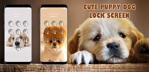 Puppy Dog Lock Screen for PC - How to Install on Windows PC, Mac
