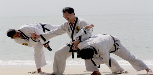 Hapkido APK Download For Free