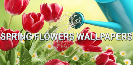 Spring Flowers Wallpapers for PC - How to Install on Windows PC, Mac