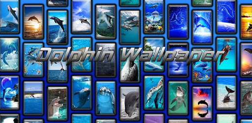 Dolphin Wallpaper for PC - How to Install on Windows PC, Mac