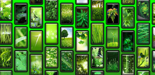 Green Wallpaper APK Download For Free