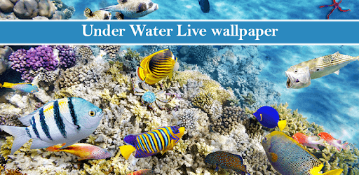 UnderWater Live Wallpaper for PC - How to Install on Windows PC, Mac