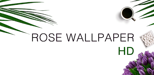 rose hd wallpapers 1080p for PC - How to Install on Windows PC, Mac