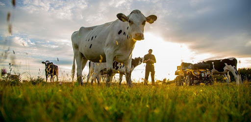 Arla Farmers for PC - How to Install on Windows PC, Mac