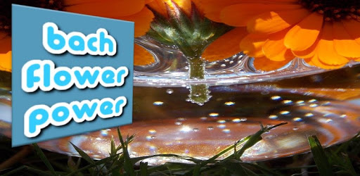 Bach Flower Remedy Browser for PC - How to Install on Windows PC, Mac