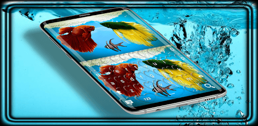 Betta Fish keyboard theme for PC - How to Install on Windows PC, Mac