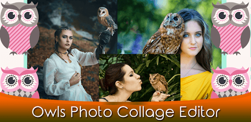 Owls Photo Collage Editor for PC - How to Install on Windows PC, Mac