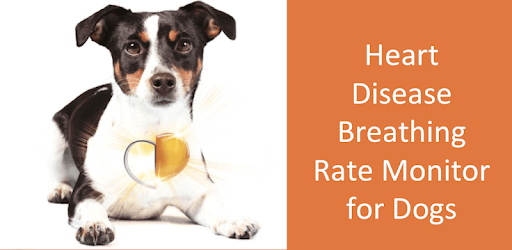 Cardalis Dog Heart Monitoring for PC - How to Install on Windows PC, Mac