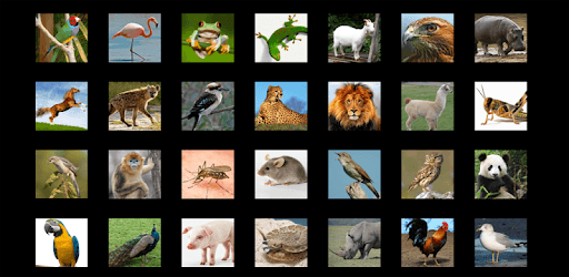 Animals Sound Box PRO for PC - How to Install on Windows PC, Mac