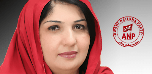 ANP News: Awami National Party KPK for PC - How to Install on Windows ...