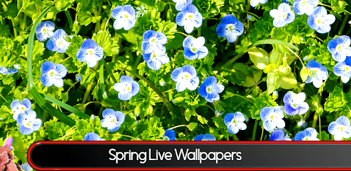Spring Live Wallpapers APK Download For Free