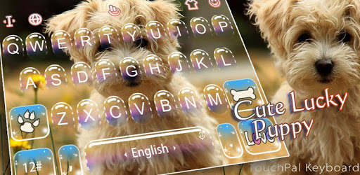 Cute Lucky Puppy Dog Keyboard Theme for PC - How to Install on Windows ...