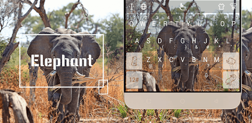 The Elephant Keyboard Theme for PC - How to Install on Windows PC, Mac
