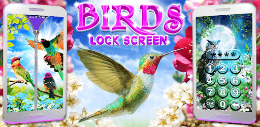Birds lock screen. for PC - How to Install on Windows PC, Mac