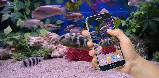 Aquarium 4K Live Wallpaper for PC - How to Install on Windows PC, Mac