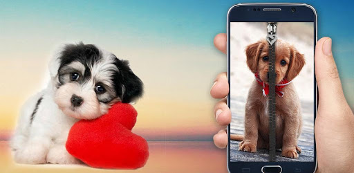 Puppy Lock Screen for PC - How to Install on Windows PC, Mac
