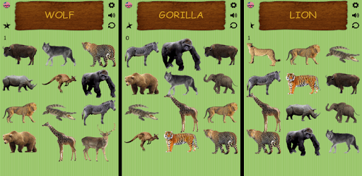 Wild Animals - Learning Animals - test - sound for PC - How to Install ...