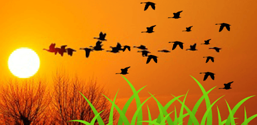 Good Morning Wishes / Good Morning Images & Quotes for PC - How to ...