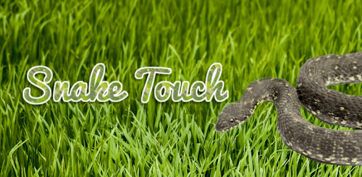 Snake Touch for PC - How to Install on Windows PC, Mac