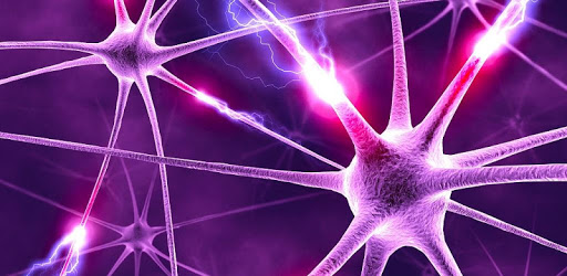 Digit Span - Memory Game for PC - How to Install on Windows PC, Mac