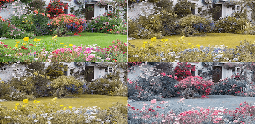 Colour blindness for PC - How to Install on Windows PC, Mac