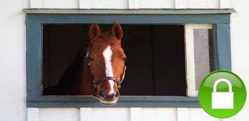 Horse Lock Screen Pro for PC - How to Install on Windows PC, Mac