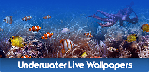 Underwater Live Wallpapers APK Download For Free