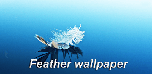 Feather wallpaper for PC - How to Install on Windows PC, Mac