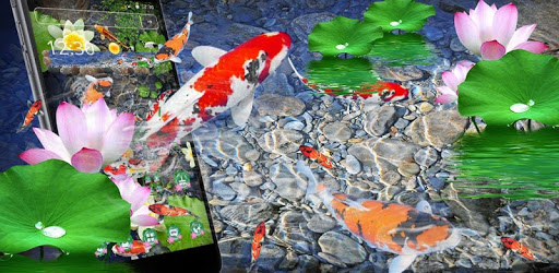 Natural Koi Fish Theme for PC - How to Install on Windows PC, Mac