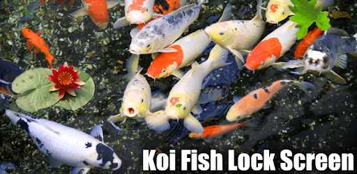 Koi Fish Lock Screen for Huawei for PC - How to Install on Windows PC, Mac