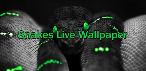 Snakes Live Wallpaper for PC - How to Install on Windows PC, Mac