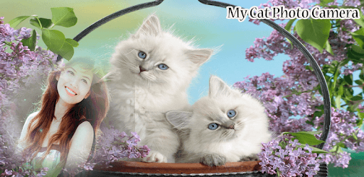 Best Cat Camera Photo Frames for PC - How to Install on Windows PC, Mac