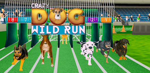 3D Crazy Dog Racing: Pet Games for PC - How to Install on Windows PC, Mac