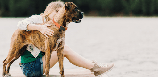 Nuzzle Pet Tracking Collar for PC - How to Install on Windows PC, Mac