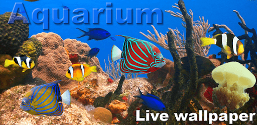 Aquarium and fishes for PC - How to Install on Windows PC, Mac