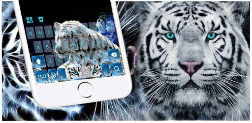 Wild Cheetah Keyboard Theme for PC - How to Install on Windows PC, Mac