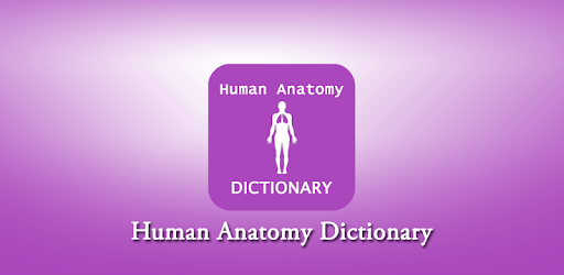Human Anatomy Dictionary APK Download For Free