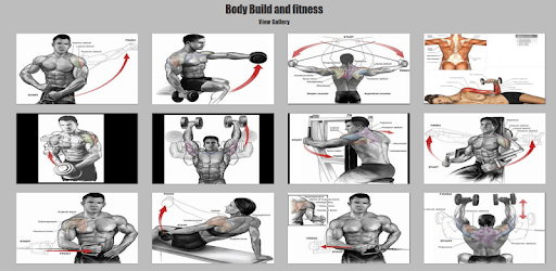 Fitnes And Body Building for PC - How to Install on Windows PC, Mac
