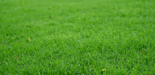 Football Keyboard for PC - How to Install on Windows PC, Mac